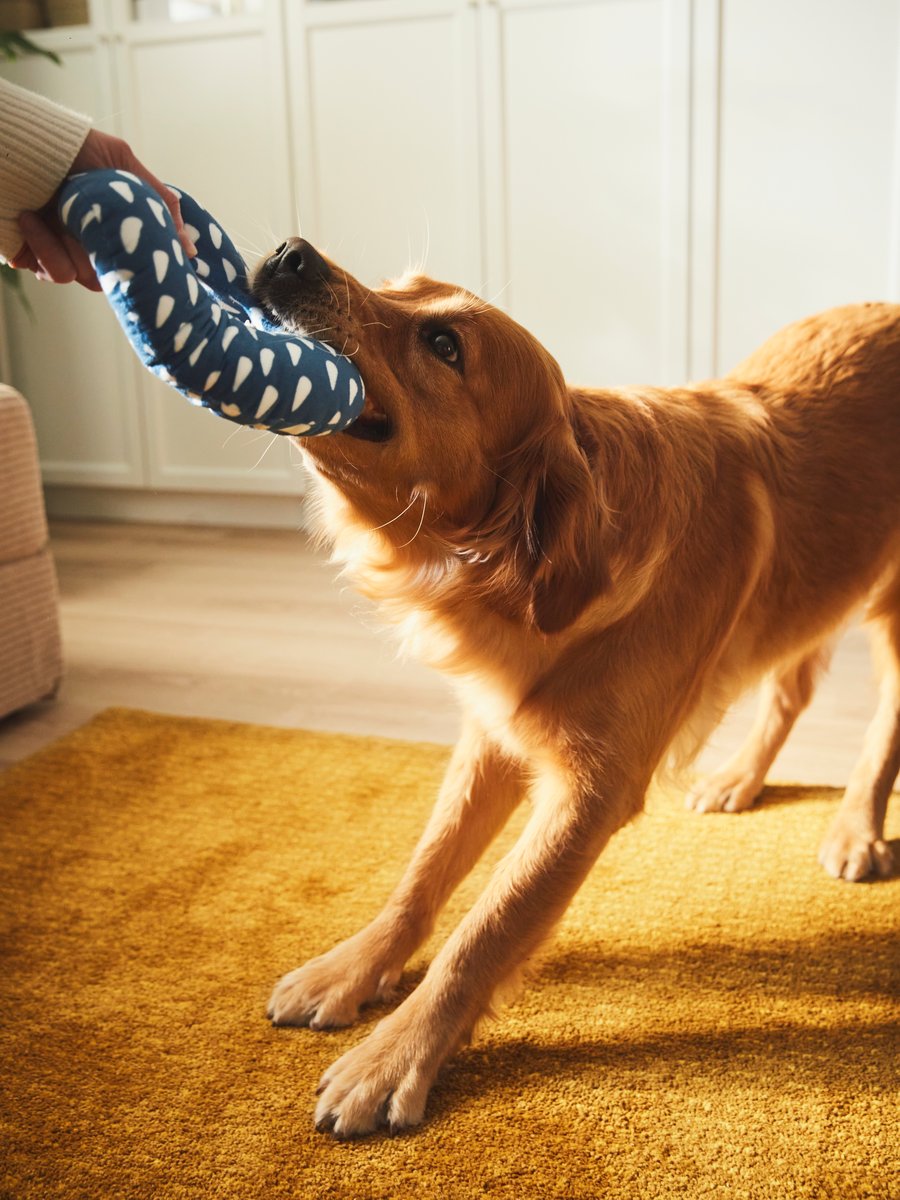 Pet Products - Pet Beds, Toys & Accessories - IKEA