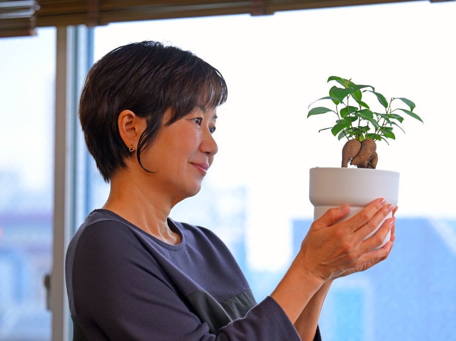 Taking care of a bonsai - IKEA