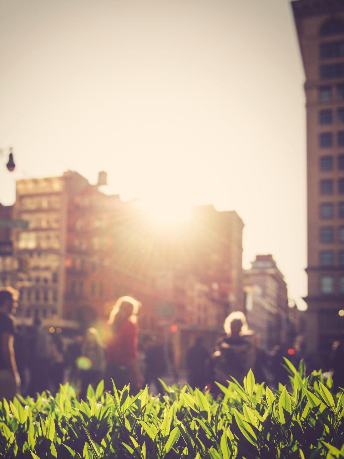 Climate Action | Reducing Our Carbon Footprint - IKEA CA