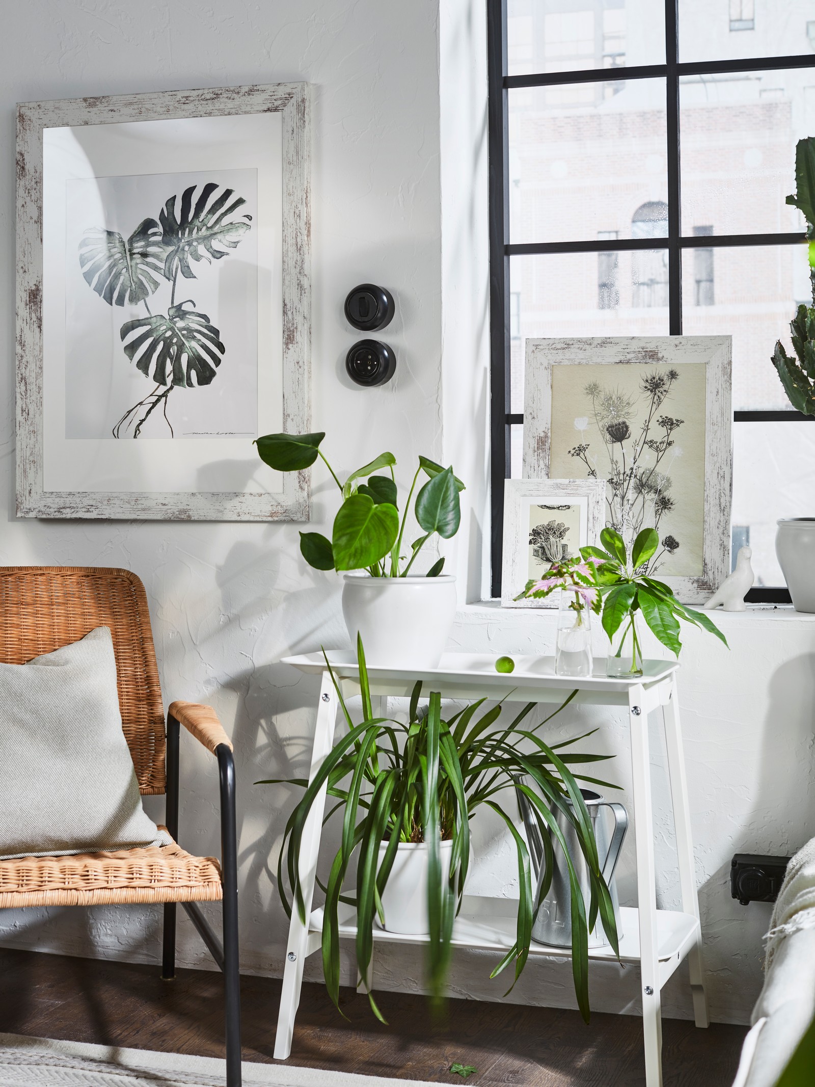 Decoration - IKEA Spain