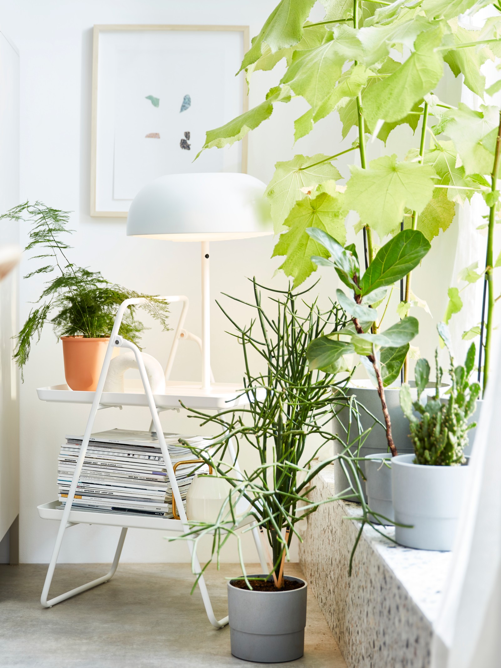 Pots and planters for plants and flowers - IKEA