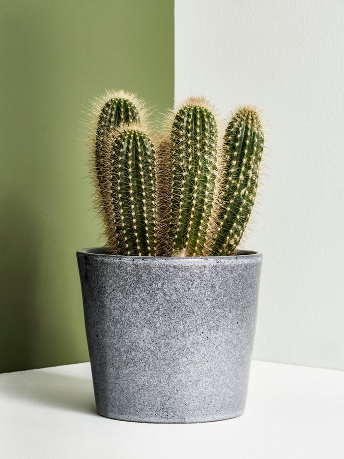 Flower Pots & Planters Online in Egypt - IKEA