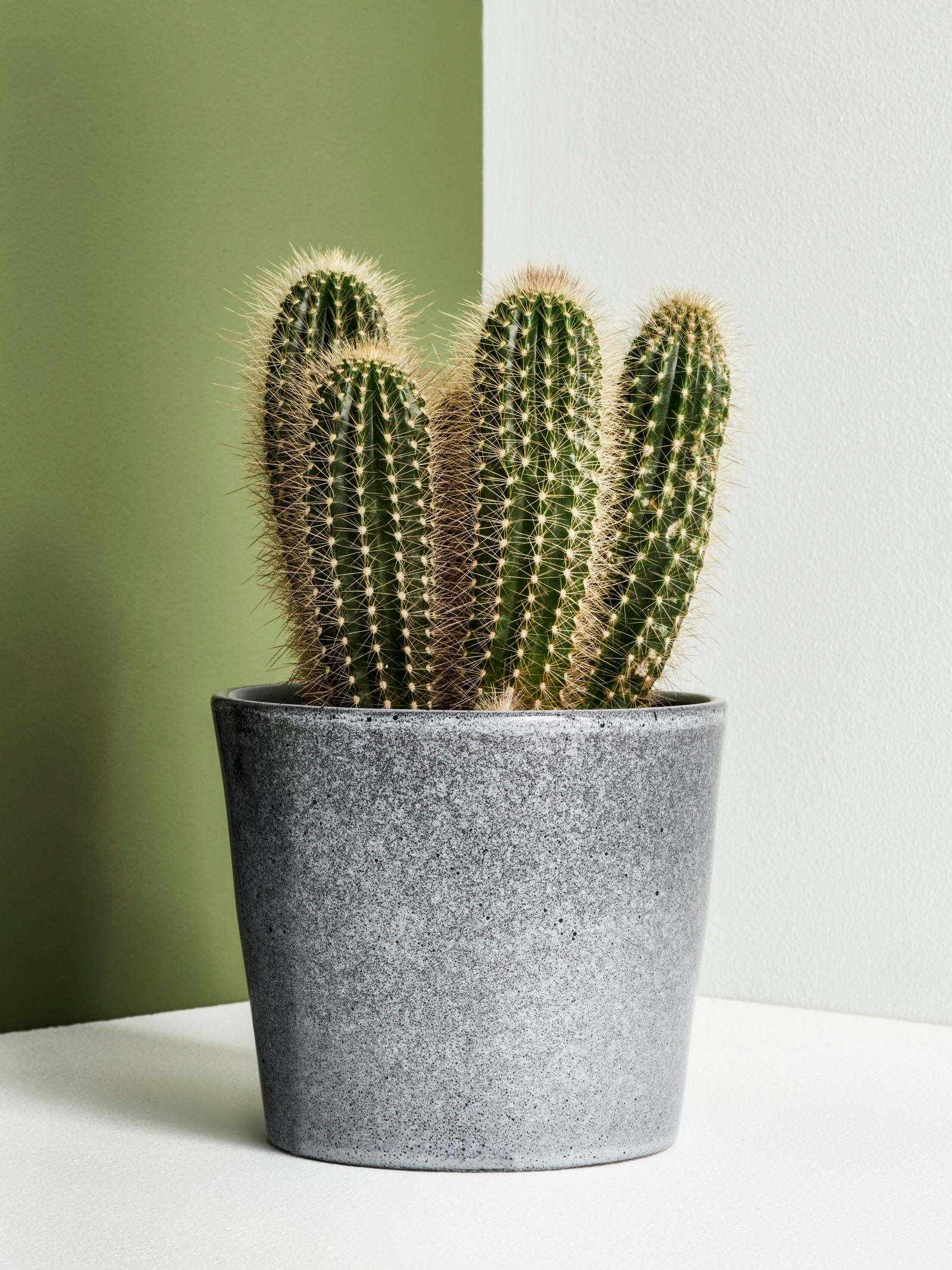 Plant Pots and Flower Pots - IKEA