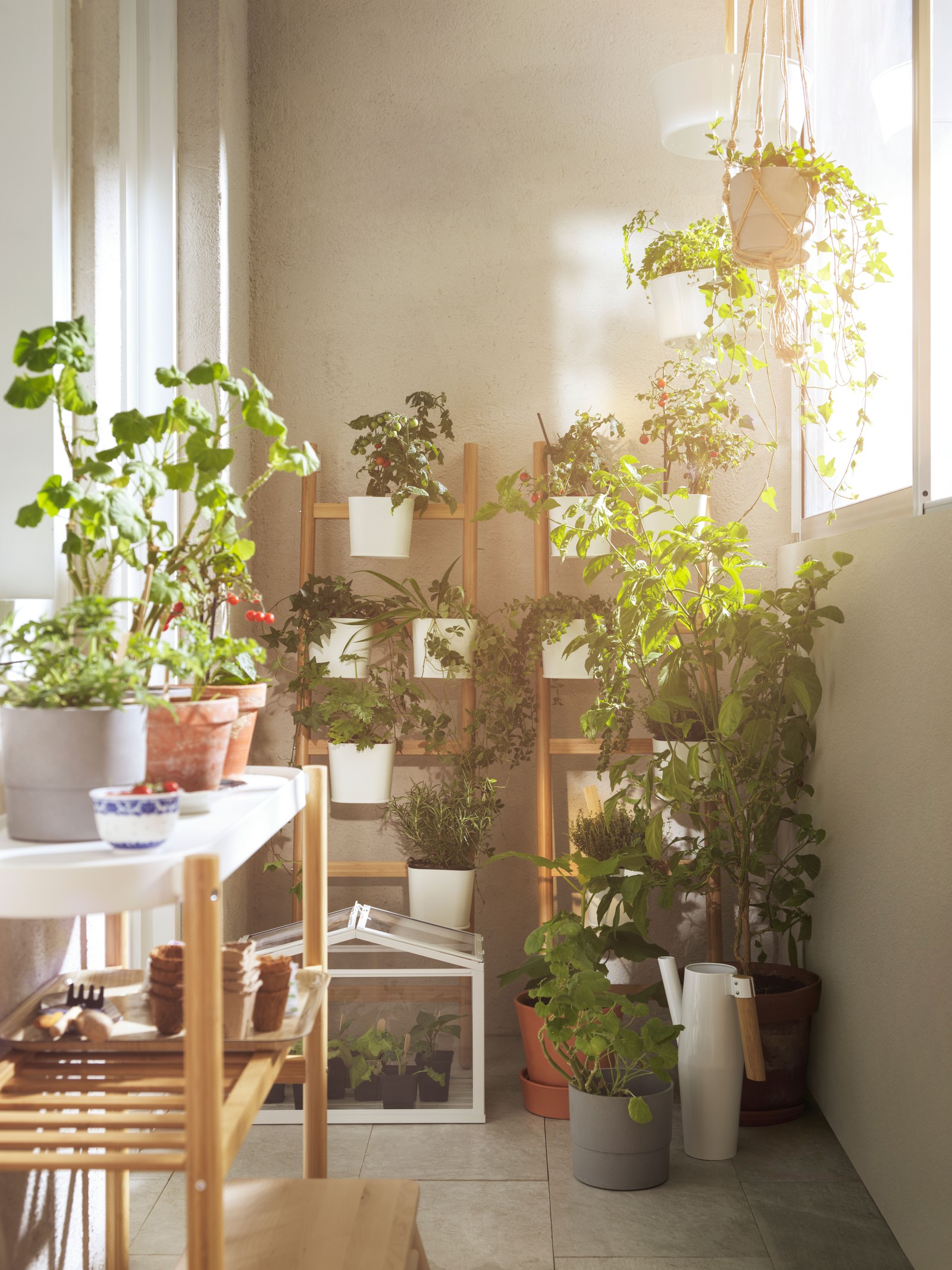 Pots & plants - IKEA