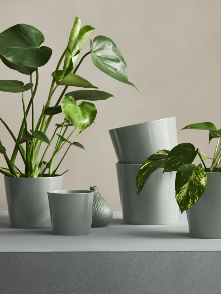 Flower Pots - Flower Planters - IKEA UK