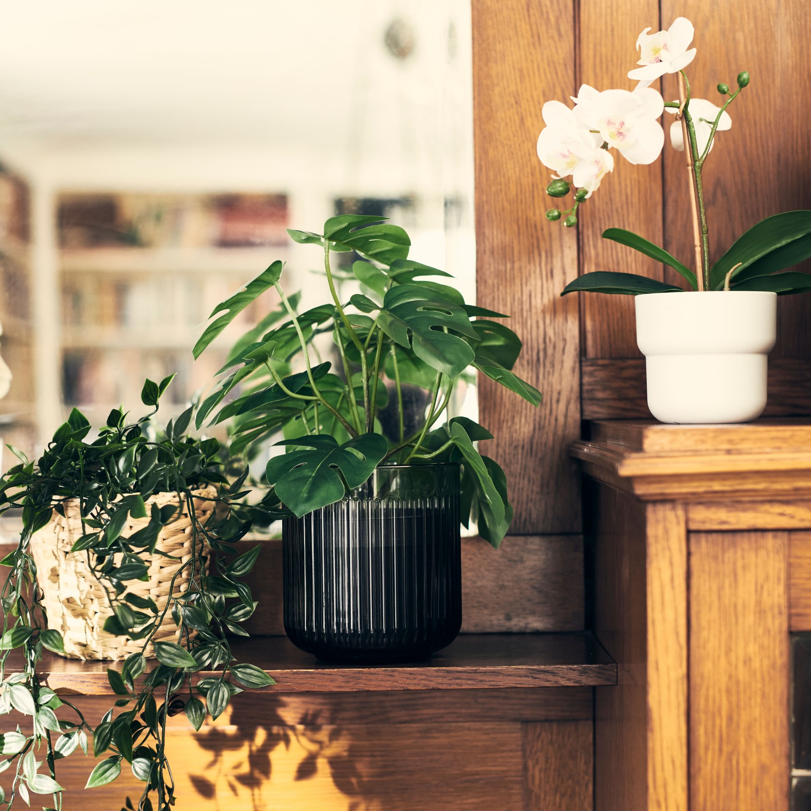 Plants and Planters - Plant Stuff - IKEA