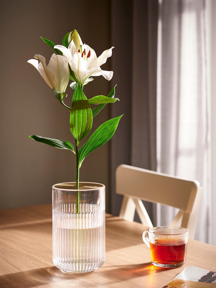 Which vase for which flowers? - IKEA