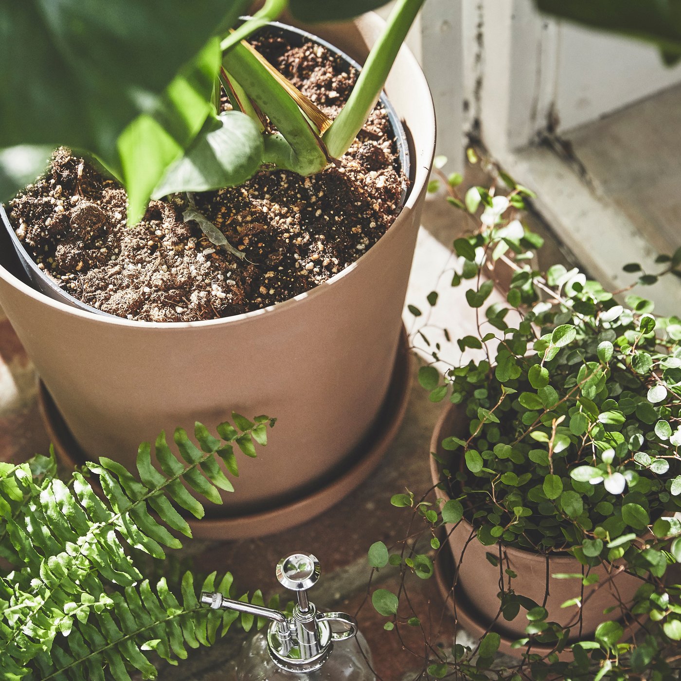 Flower Pots - Flower Planters - IKEA