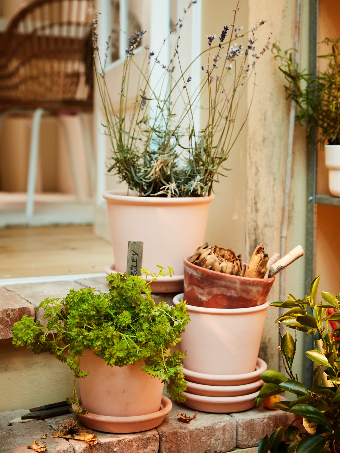 Ghivece şi suporturi plante - IKEA