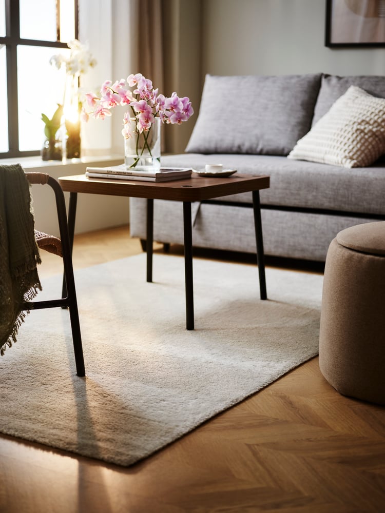 Rugs - Shop online - IKEA Spain - IKEA Spain