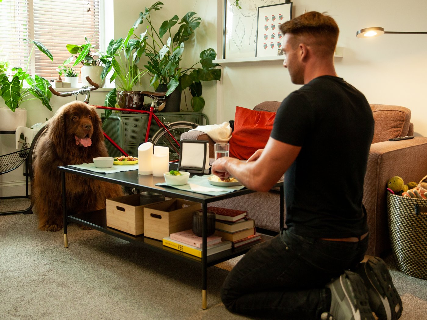 Dining With Your Dog | Everyday Rituals - IKEA CA