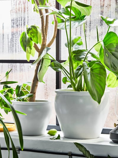 Plant Pots and Flower Pots - IKEA