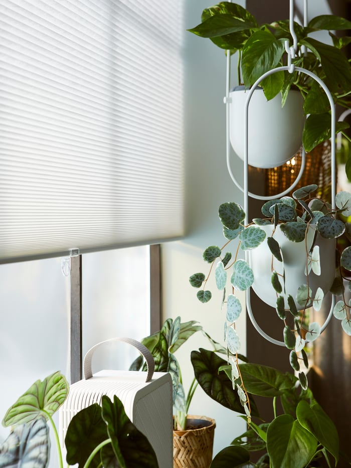 Raamdecoratie kopen? | Bekijk onze collectie - IKEA