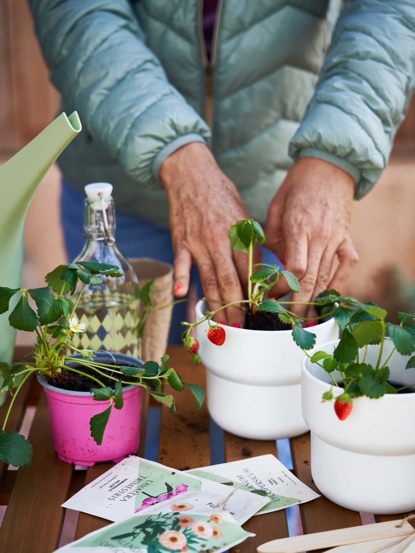 Pots & plants - IKEA