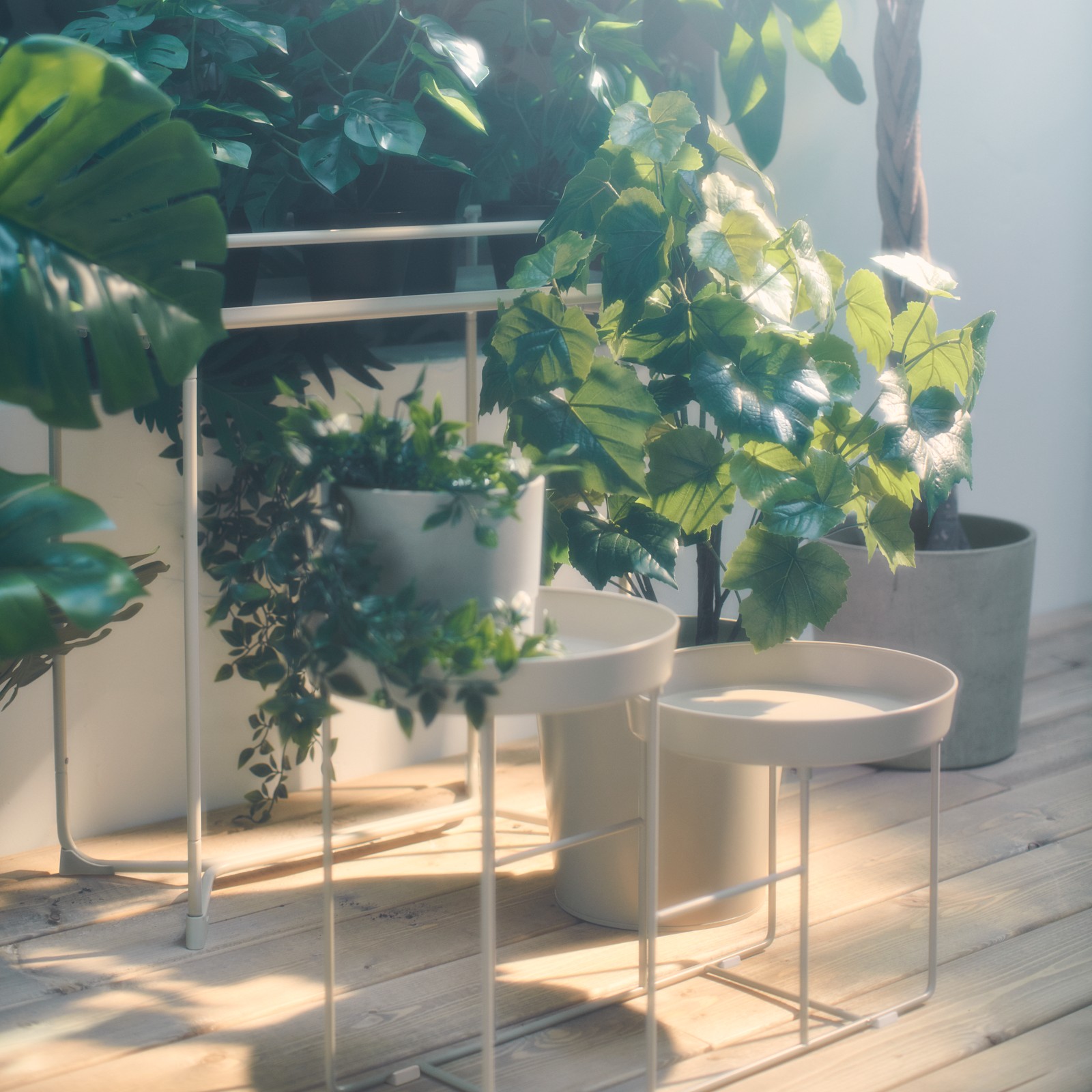 Plants - Plant Pots - Plant Accessories - IKEA