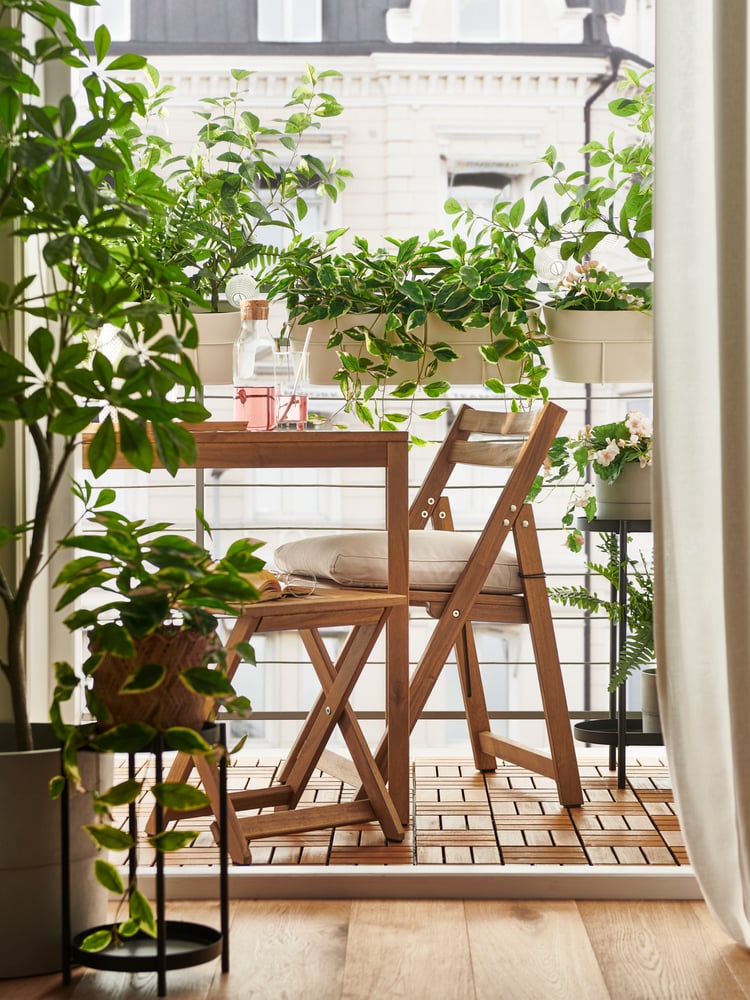 Plants & flowers | Shop Online and In-store - IKEA