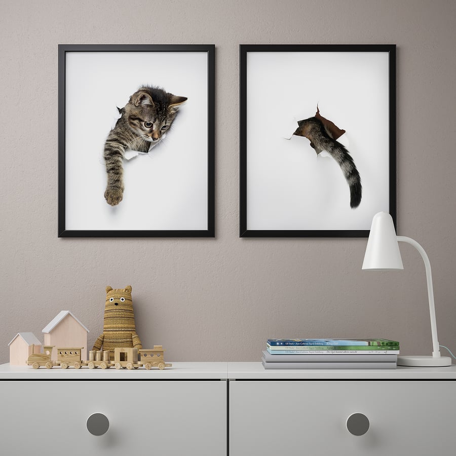 BILD poster, apparition chat, 40x50 cm - IKEA