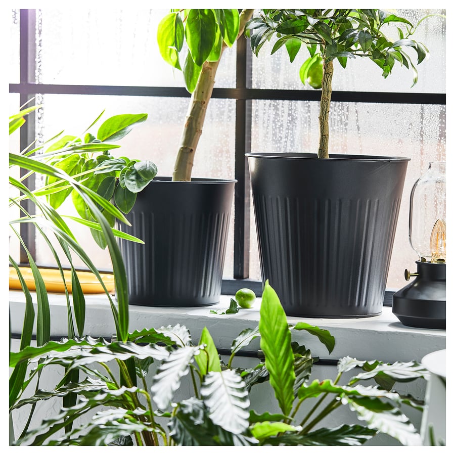 CITRONMELISS cache-pot, intérieur/extérieur/anthracite, 24 cm - IKEA