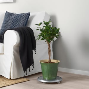 Cache-pots pour intérieur - IKEA