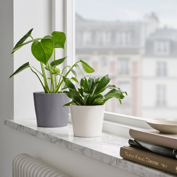 SOJABÖNA cache-pot, blanc, 9 cm - IKEA