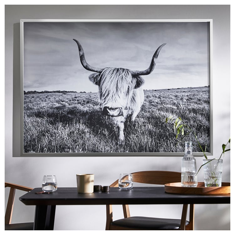 BJÖRKSTA picture with frame, curious cow/aluminium-colour, 140x100 cm ...