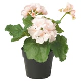 Artificial Office Plants - Artificial Desk Plants - IKEA