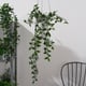 FEJKA artificial potted plant, in/outdoor/hanging, 9 cm - IKEA UK