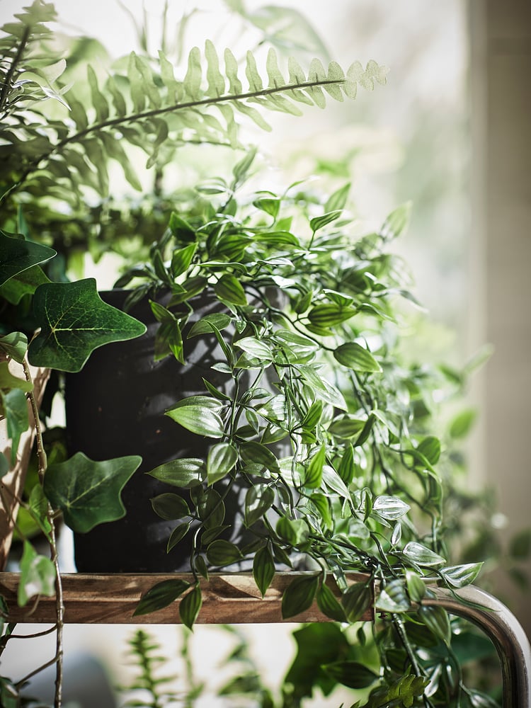 FEJKA artificial potted plant, in/outdoor/hanging, 9 cm - IKEA UK