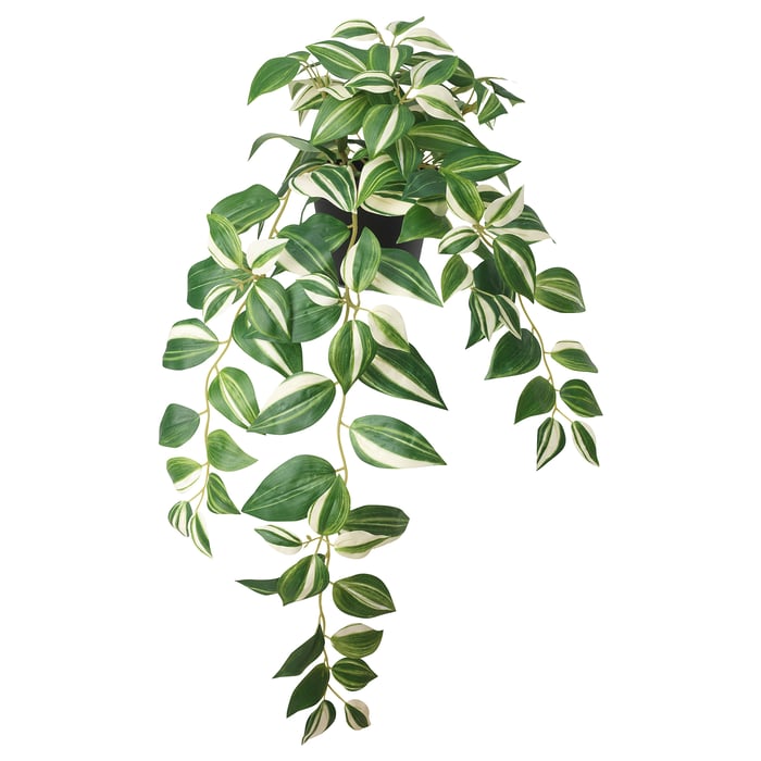 FEJKA artificial potted plant, in/outdoor/tradescantia zebrina, 12 cm ...
