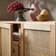 IVAR door, 42x83 cm - IKEA UK
