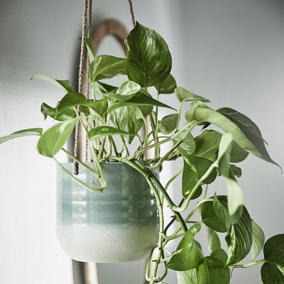 Hanging Plant Pots - Hanging Planters - Hanging Planter - IKEA