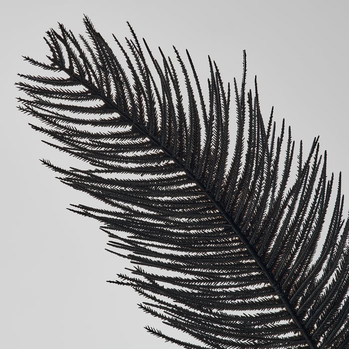 SMYCKA artificial spray, in/outdoor/black, 65 cm - IKEA UK