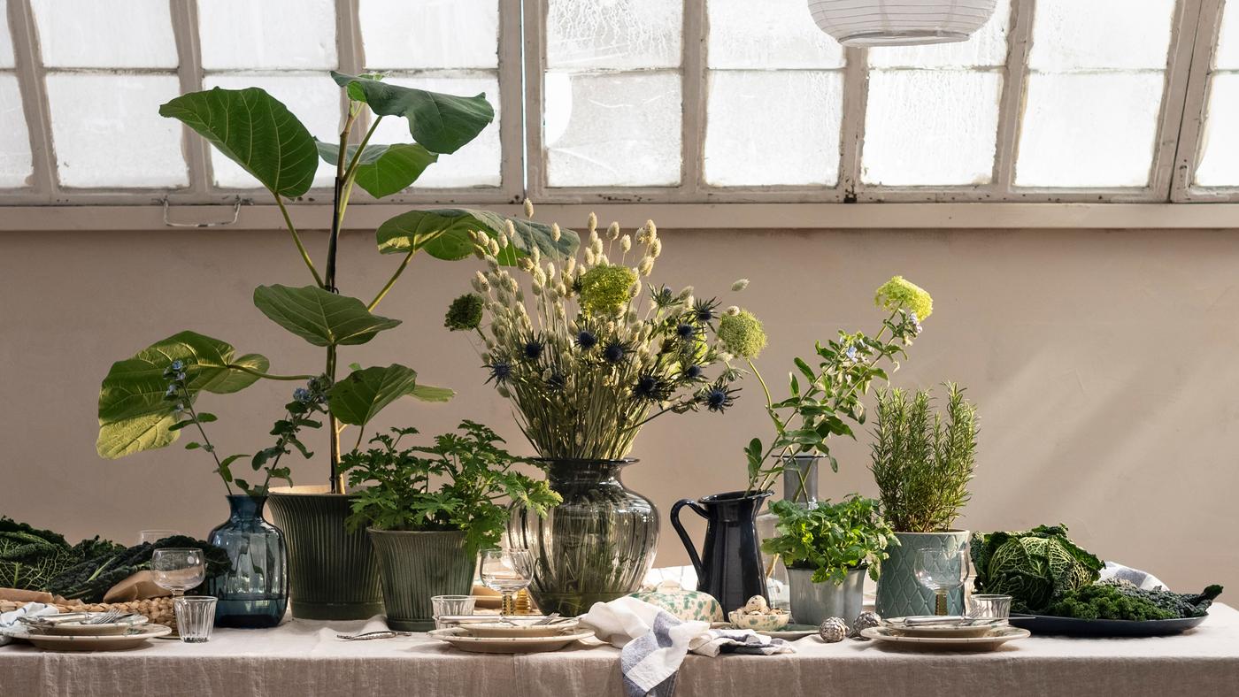 Plants - Flowers - IKEA UK