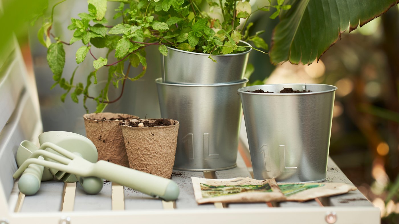 ÅKERBÄR Series - IKEA UK