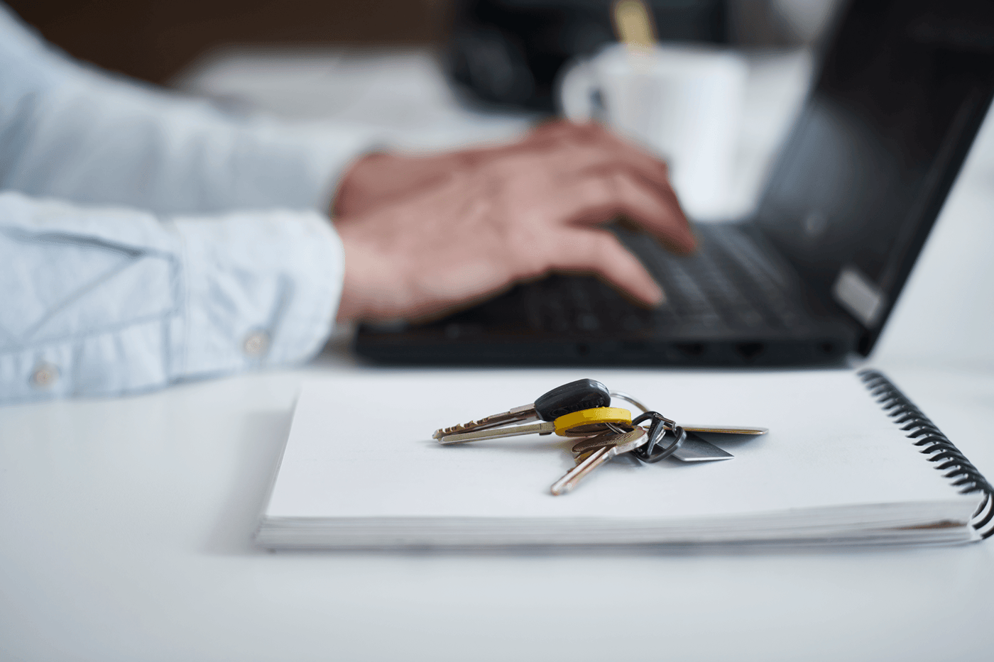 Privacy & Cookie statement