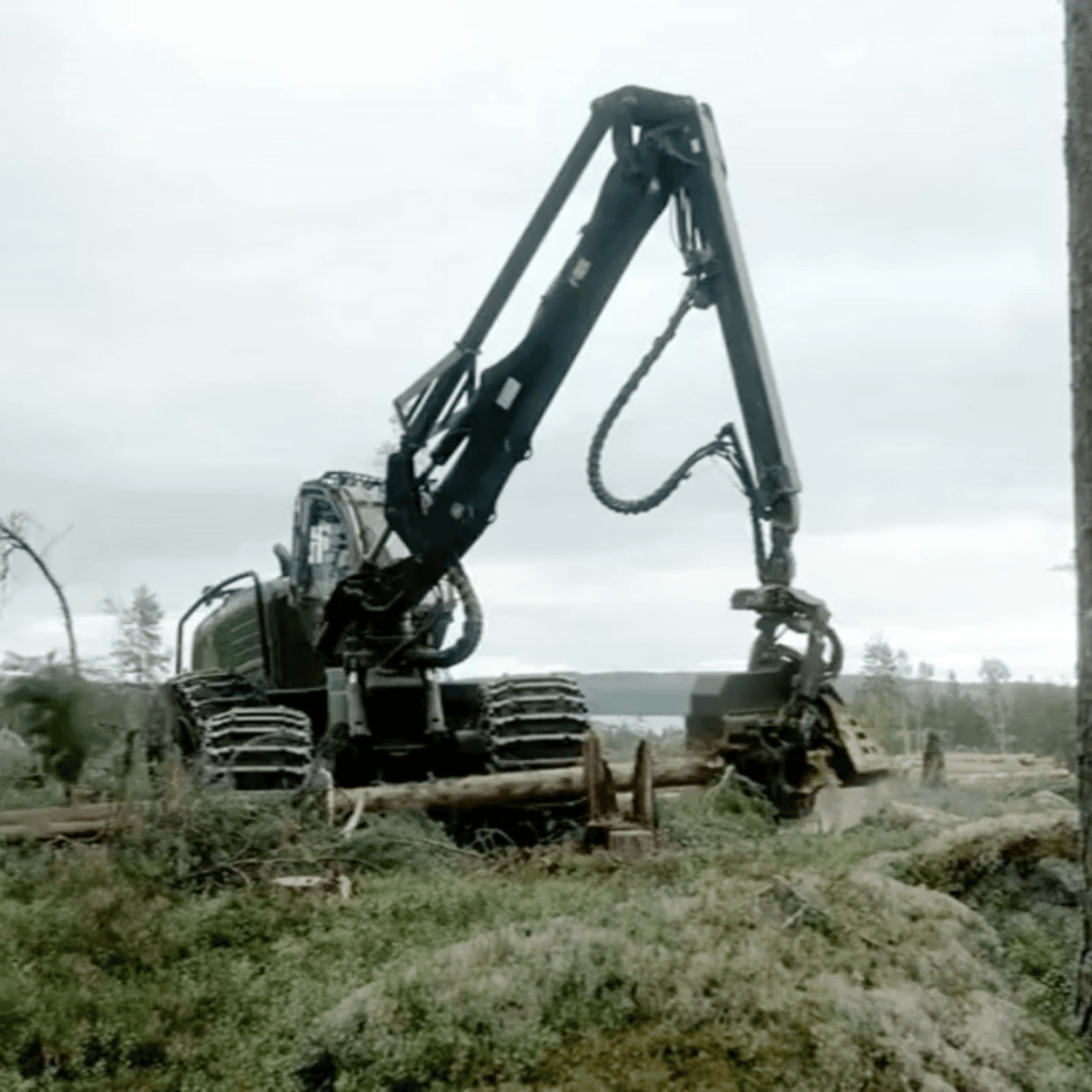 How we work: The IKEA value chain – IKEA Global