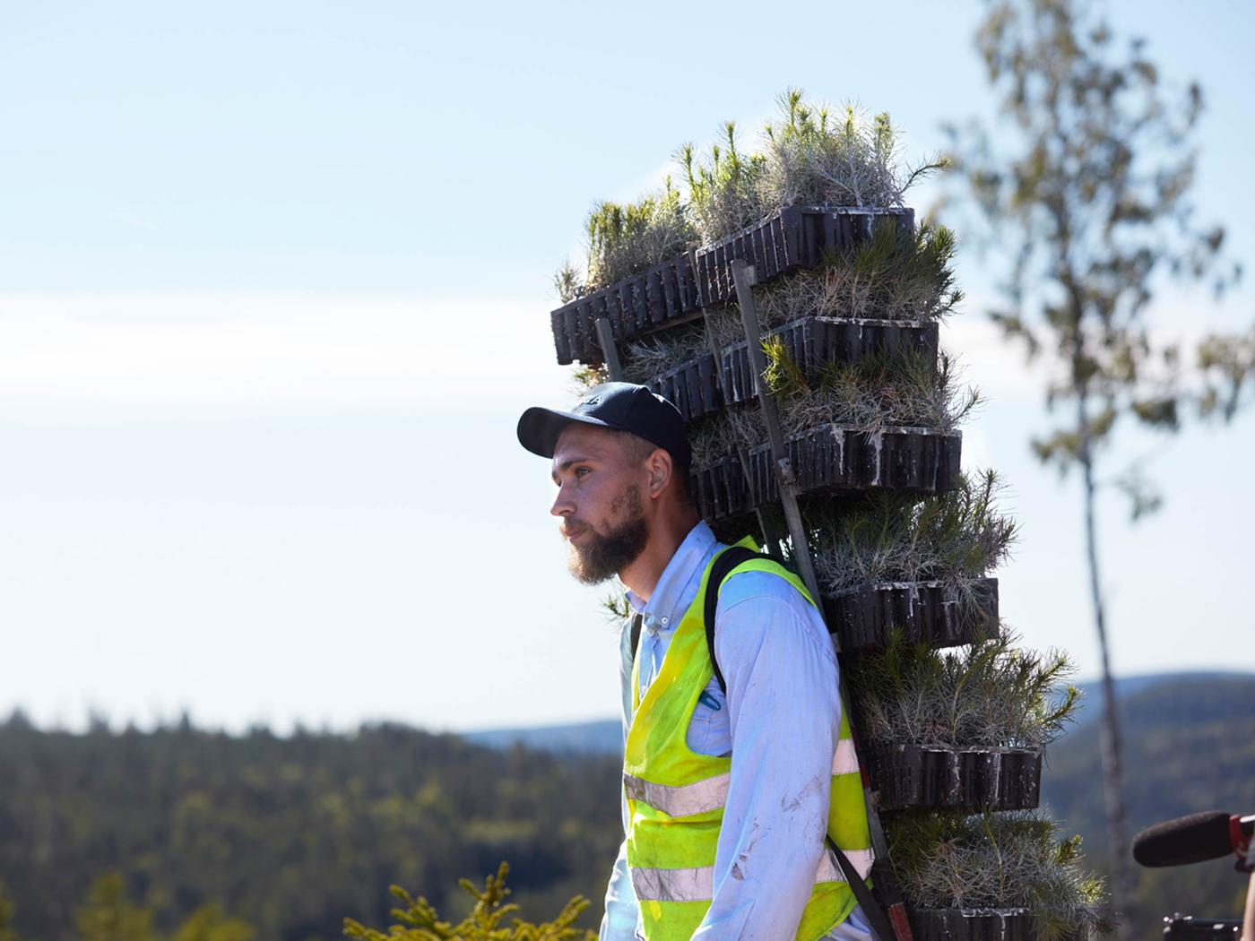 Climate footprint across the IKEA value chain – IKEA Global