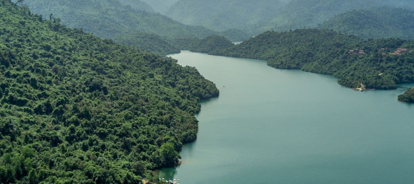 Climate-oriented forest management - IKEA Global