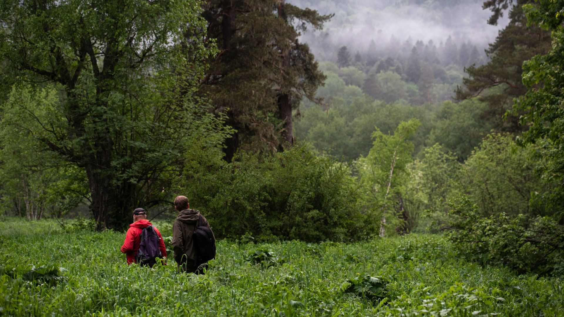 How We Work With Wood And Forestry Ikea Global