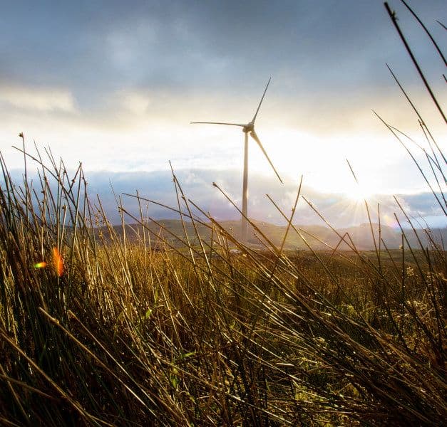 Climate footprint across the IKEA value chain – IKEA Global