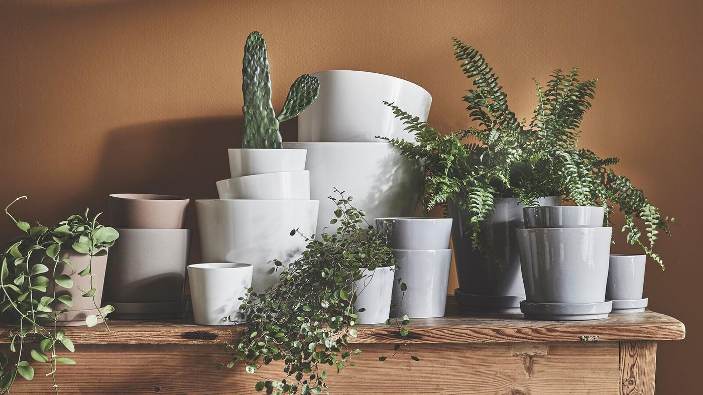 Indoor Plant Pots - IKEA Ireland