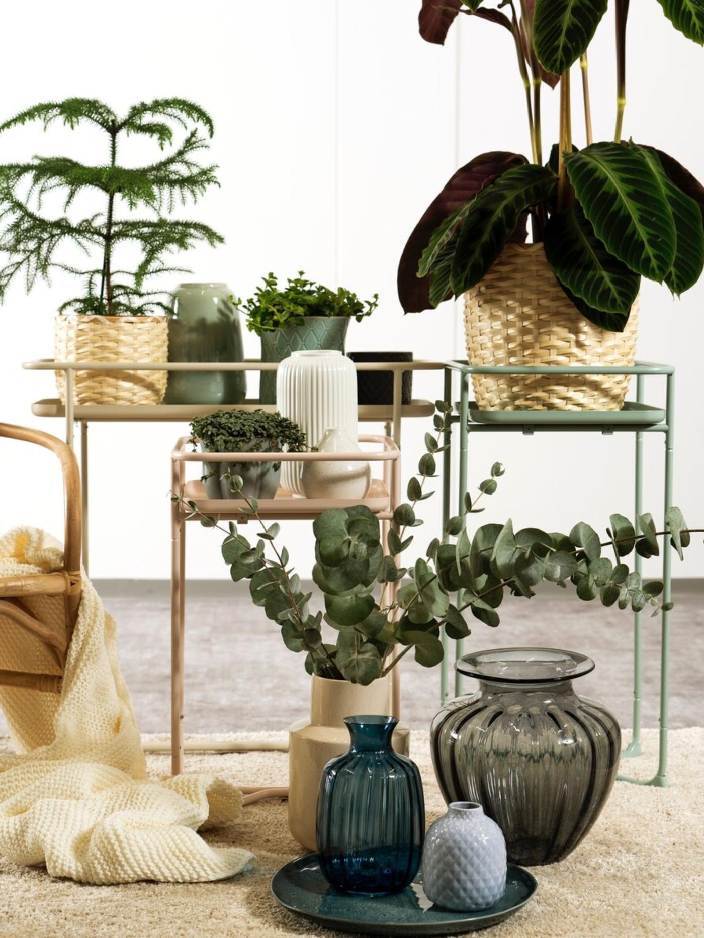 Pasu & tumbuhan - IKEA