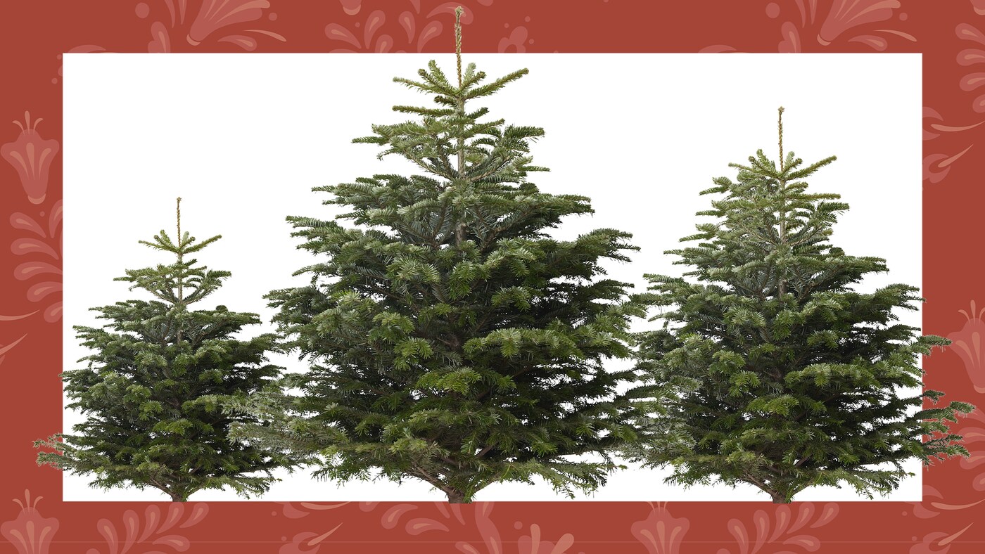 Buy Home Decoration Online - Home Decoration - IKEA