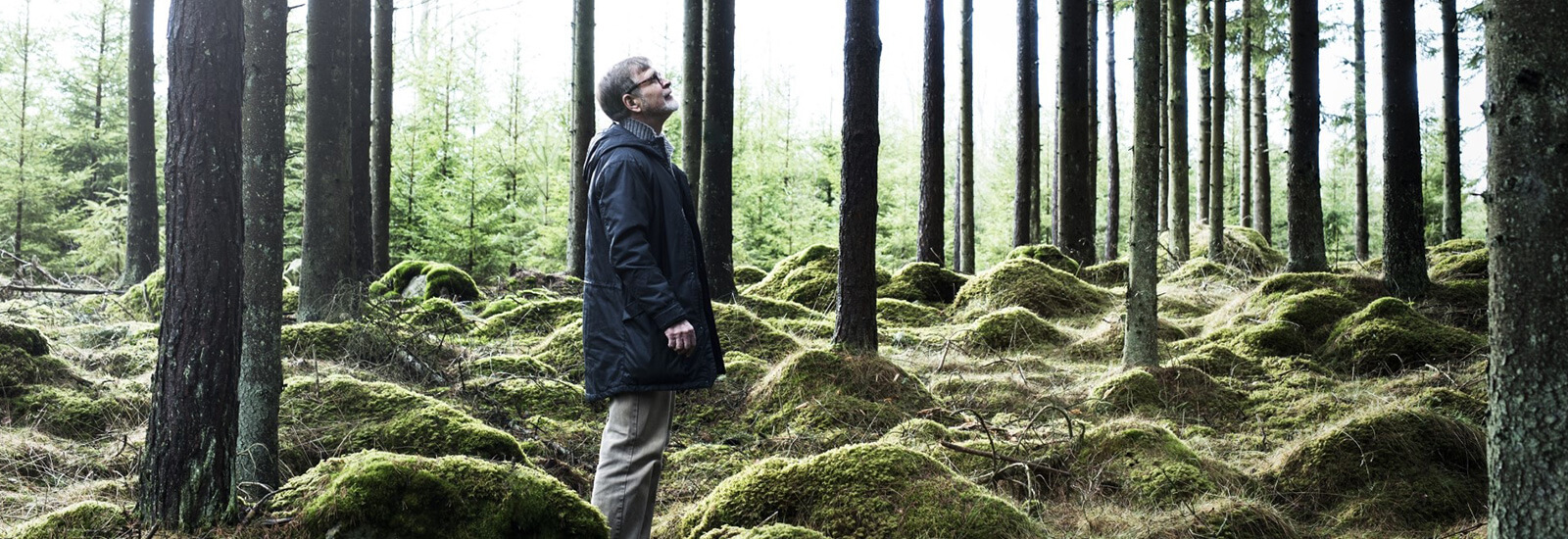 IKEA Culture & Value - IKEA