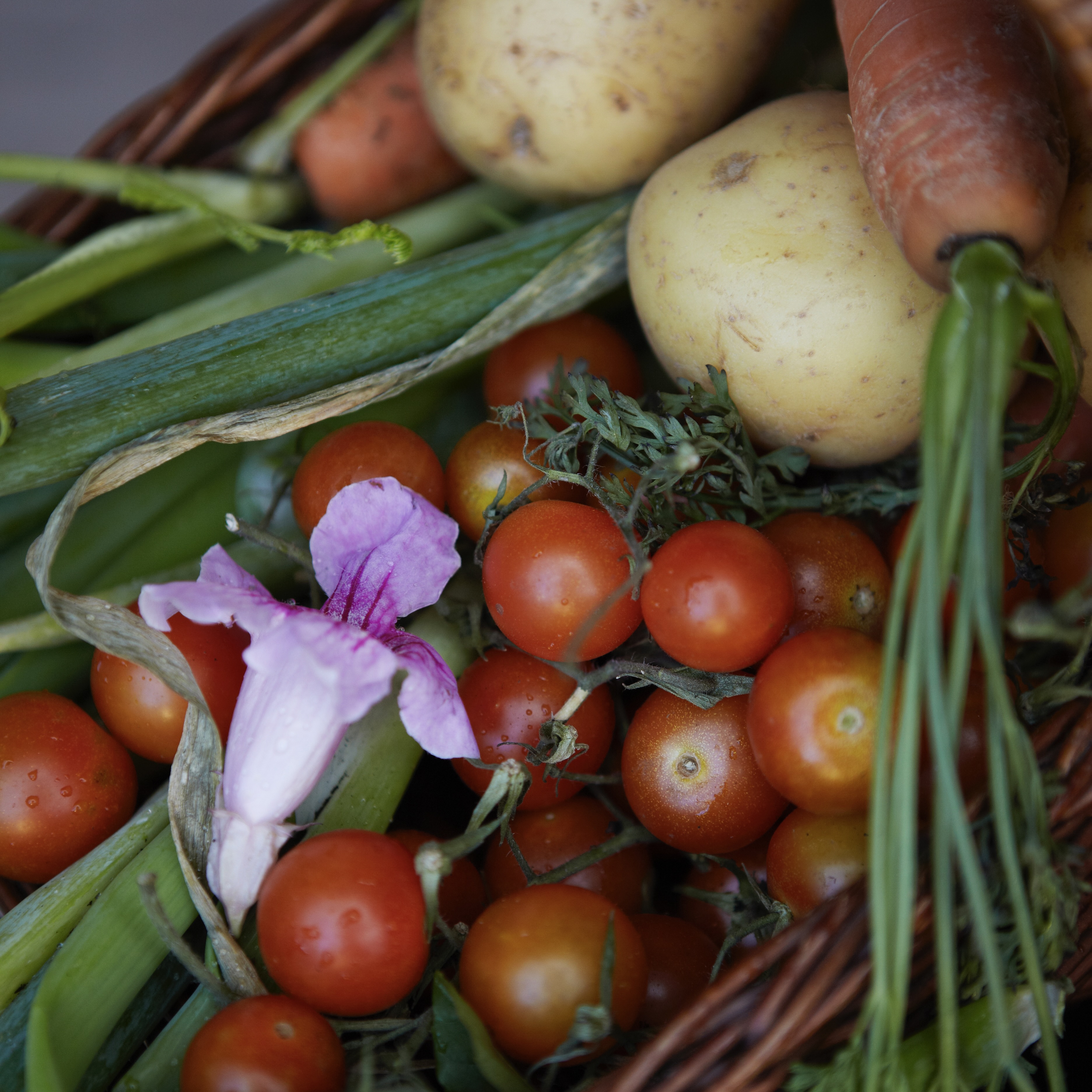 Bring the Pahiyas Festival colors into your home - IKEA