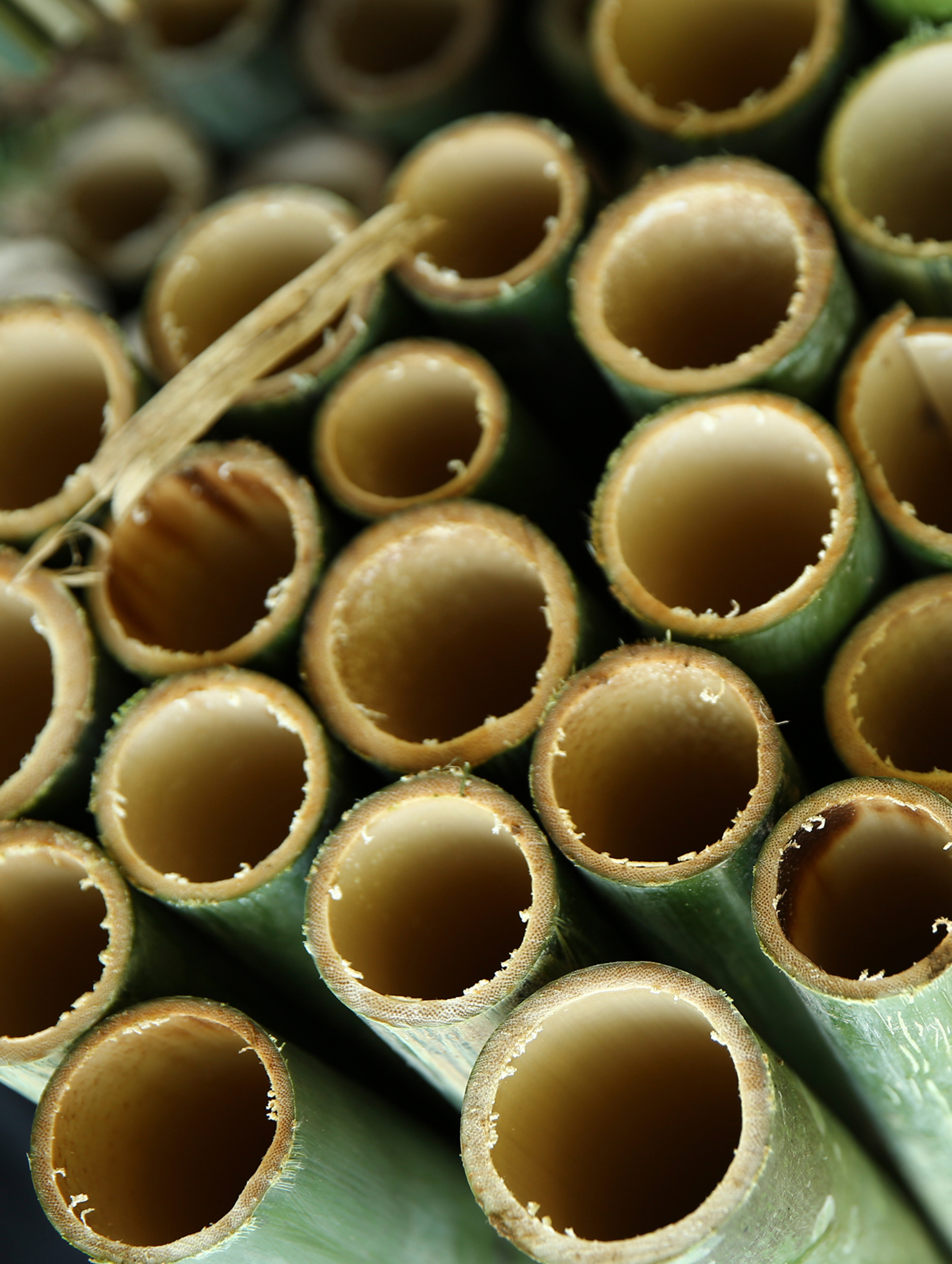 Bamboo is a sustainable material with many benefits - IKEA