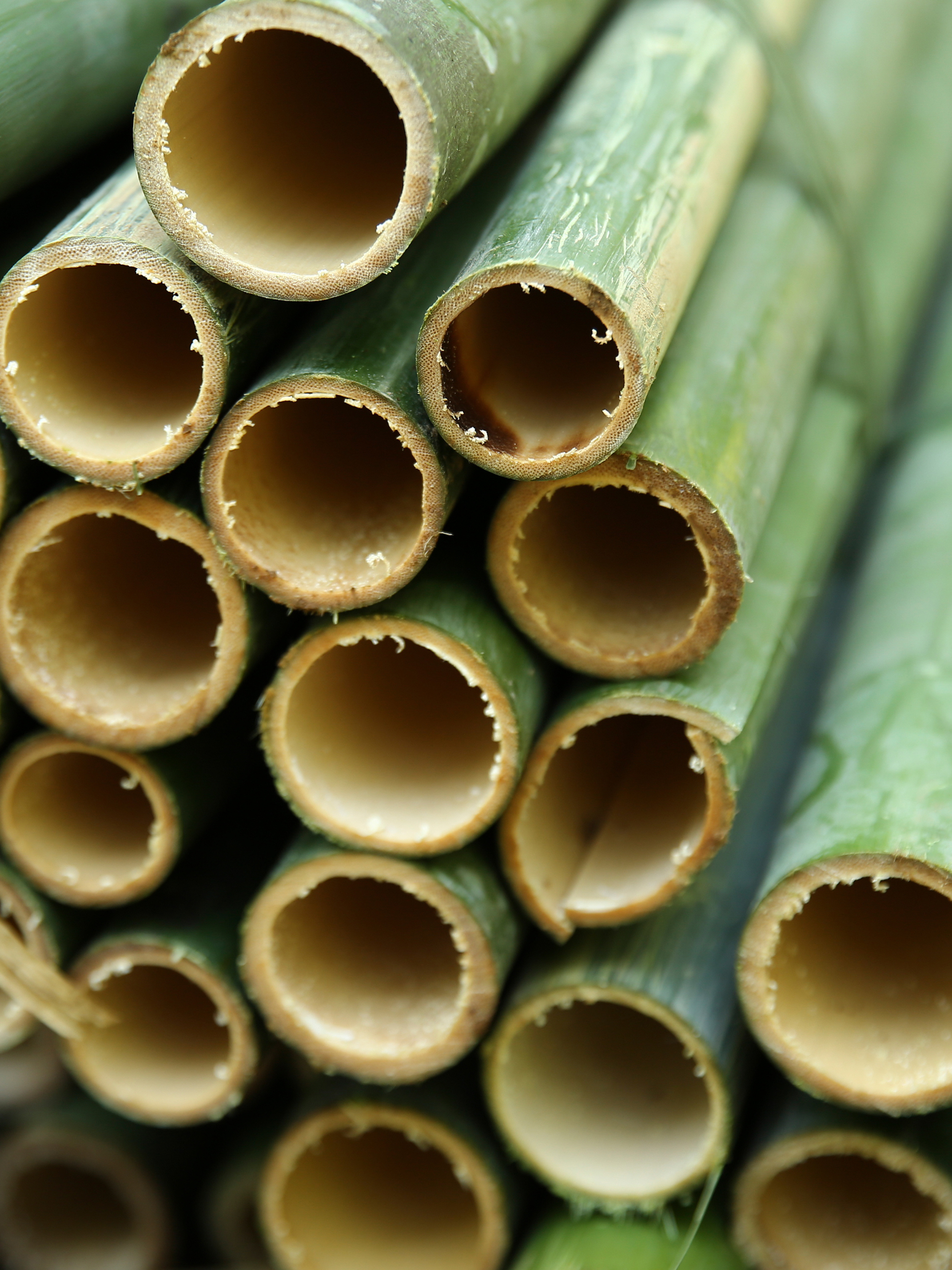 RÅGRUND series - IKEA