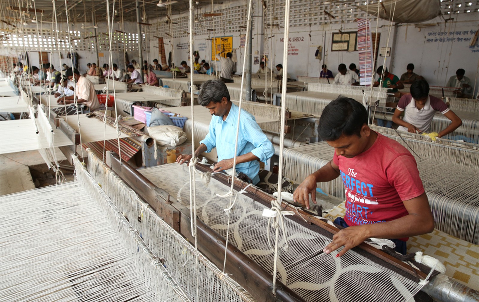 Choose wool: it’s durable, natural, beautiful! - IKEA