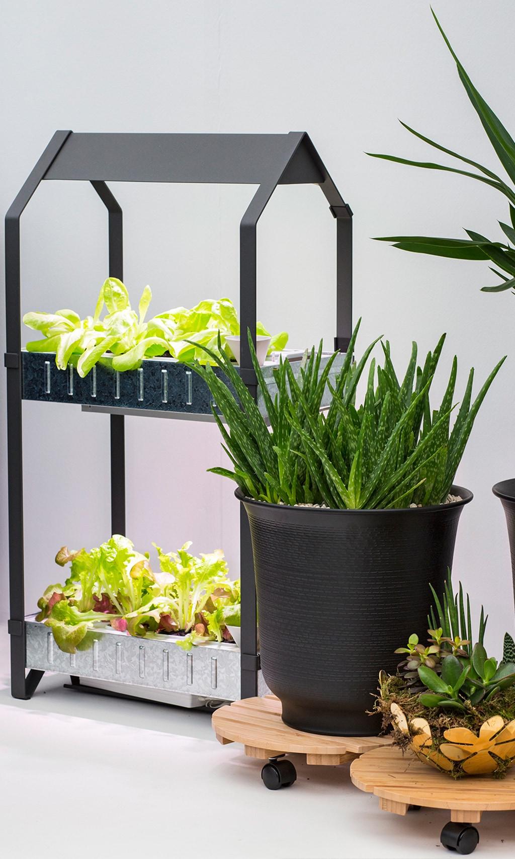 Our favourite bedroom plant ideas - IKEA UK