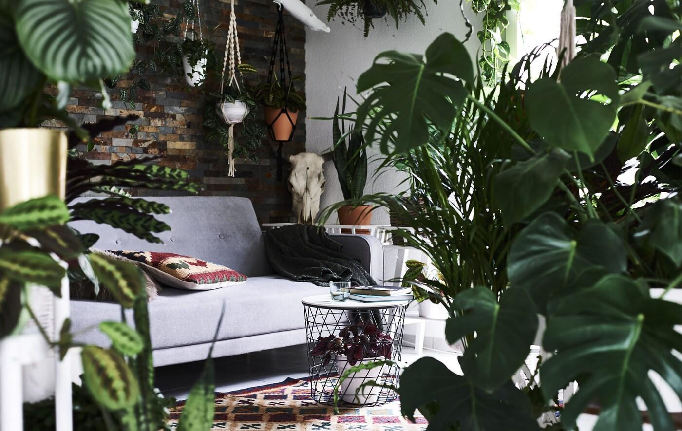 Turn hundreds of plants into an urban jungle at home - IKEA